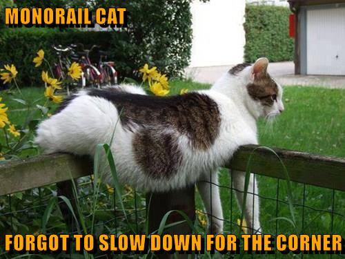 MONORAIL CAT FORGOT TO SLOW DOWN - Lolcats - lol | cat memes | funny ...