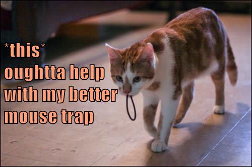 My better mouse trap - Lolcats - lol | cat memes | funny cats | funny ...