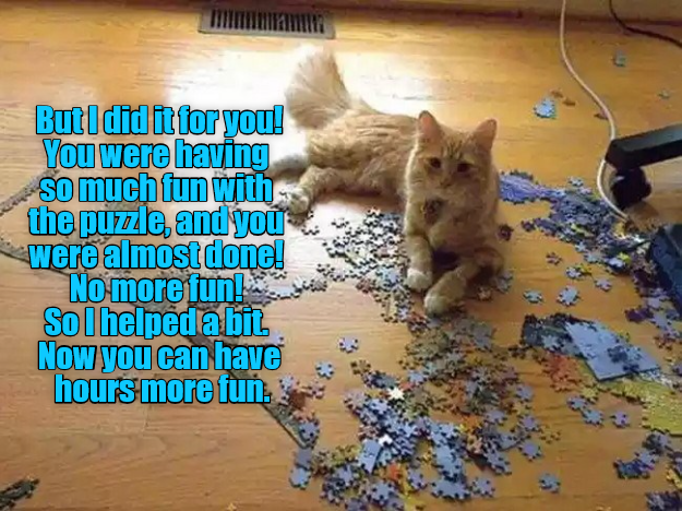 Why are you angry? - Lolcats - lol | cat memes | funny cats | funny cat ...