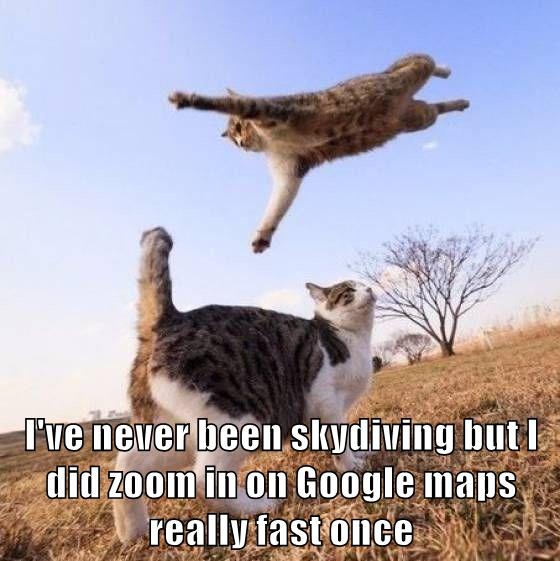 Skydiving - Lolcats - lol | cat memes | funny cats | funny cat pictures ...