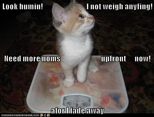 Fade away - Lolcats - lol | cat memes | funny cats | funny cat pictures ...