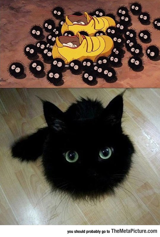 So They Do Exist - I Can Has Cheezburger? So They Do Exist - I Can Has Cheezburger?