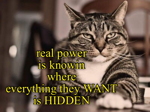 Purr power - Lolcats - lol | cat memes | funny cats | funny cat ...