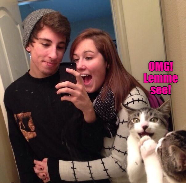 Excited Kitty is Excited - Lolcats - lol | cat memes | funny cats | funny cat pictures with ...