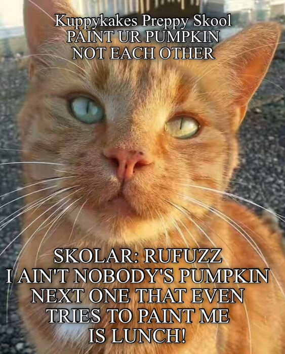 Kuppykakes Preppy Skool PAINT UR PUMPKIN - Lolcats - lol | cat memes ...
