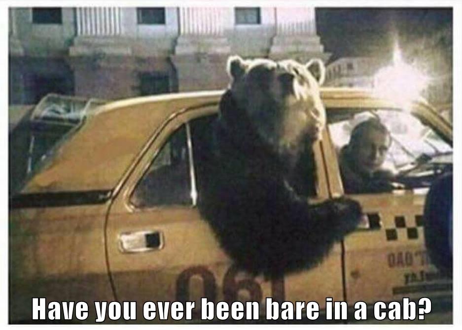 Have you ever been bare in a cab? - Animal Comedy - Animal Comedy ...