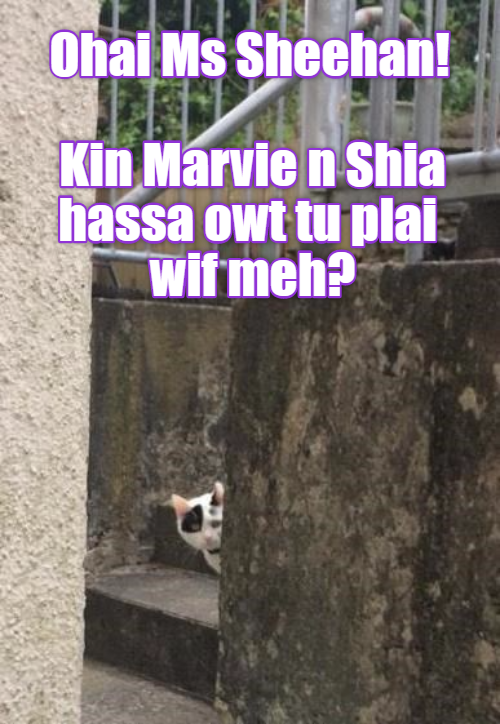 OHAI! - Lolcats - lol | cat memes | funny cats | funny cat pictures ...