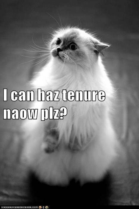 I can haz tenure naow plz? - Lolcats - lol | cat memes | funny cats ...
