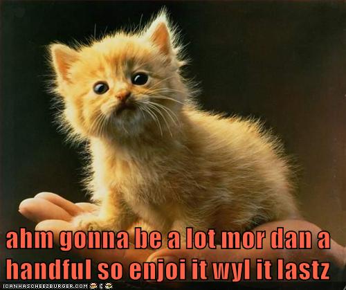 ahhh - Lolcats - lol | cat memes | funny cats | funny cat pictures with ...