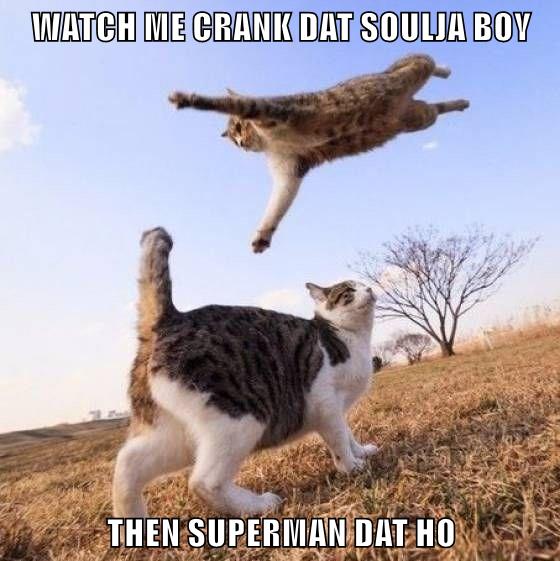 SUPERMAN - Lolcats - lol | cat memes | funny cats | funny cat pictures ...