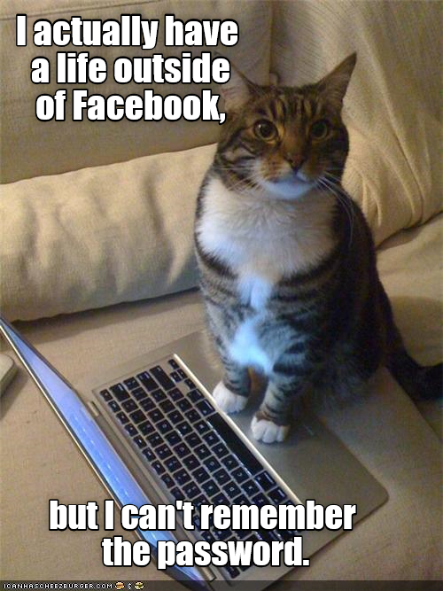 Low on memory - Lolcats - lol | cat memes | funny cats | funny cat ...