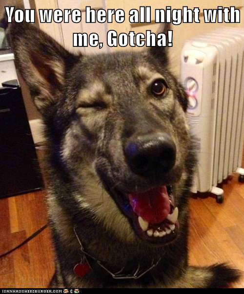 Gotcha! - I Has A Hotdog - Dog Pictures - Funny pictures of dogs - Dog ...