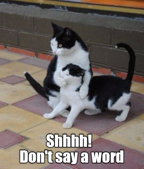 shh - Lolcats - lol | cat memes | funny cats | funny cat pictures with ...