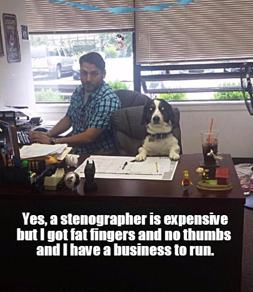 The Boss - I Has A Hotdog - Dog Pictures - Funny pictures of dogs - Dog ...