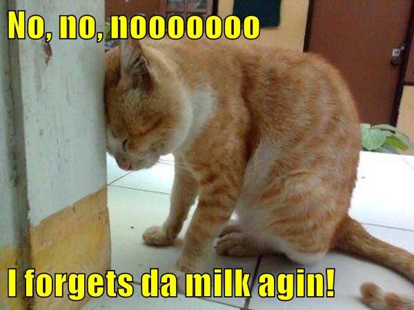 NOOO - Lolcats - lol | cat memes | funny cats | funny cat pictures with ...