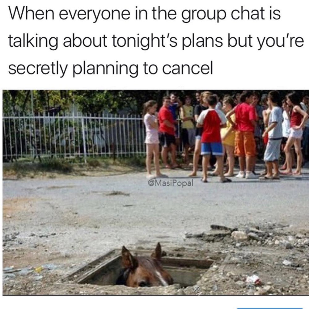 Have Fun, Y'all - Memebase - Funny Memes