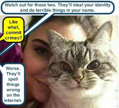 Now that's heinous - Lolcats - lol | cat memes | funny cats | funny cat ...