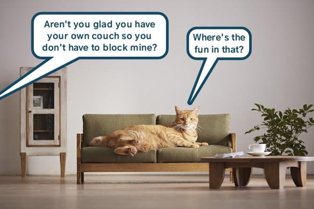 A couch of my own? How about a remote? - Lolcats - lol | cat memes ...