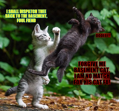 Good Wins again - Lolcats - lol | cat memes | funny cats | funny cat ...