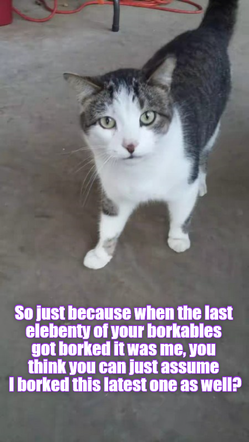 Why suspect me? - Lolcats - lol | cat memes | funny cats | funny cat ...