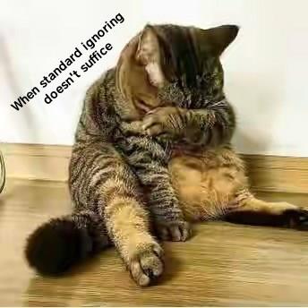 Advanced ignoring - Lolcats - lol | cat memes | funny cats | funny cat ...