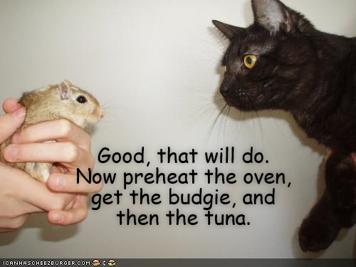 The Recipe - Lolcats - lol | cat memes | funny cats | funny cat ...