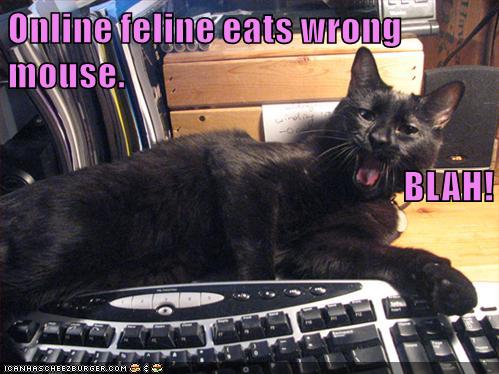 Feline eats wrong mouse - Lolcats - lol | cat memes | funny cats ...