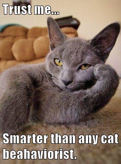 Trust me - Lolcats - lol | cat memes | funny cats | funny cat pictures ...