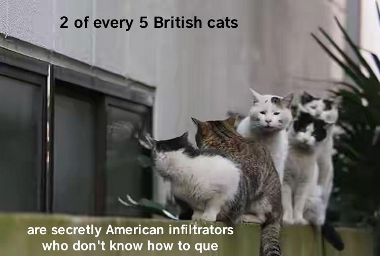 Cultural tells - Lolcats - lol | cat memes | funny cats | funny cat ...