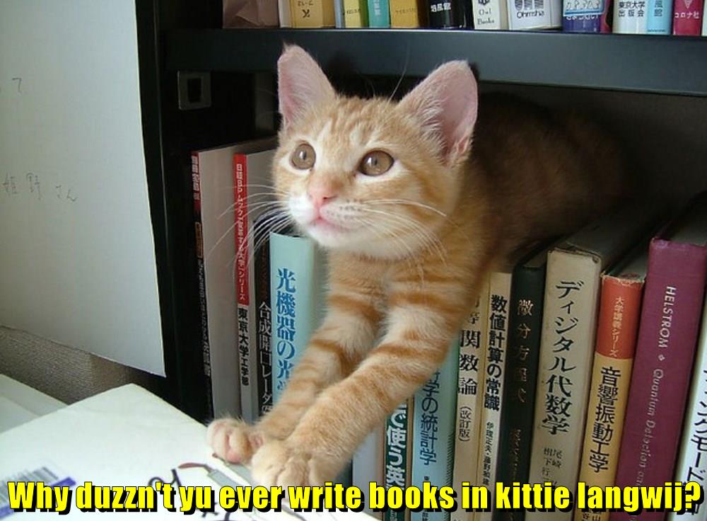 Why? - Lolcats - lol | cat memes | funny cats | funny cat pictures with ...