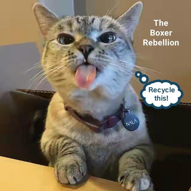 The Boxer Rebellion - Lolcats - lol | cat memes | funny cats | funny ...