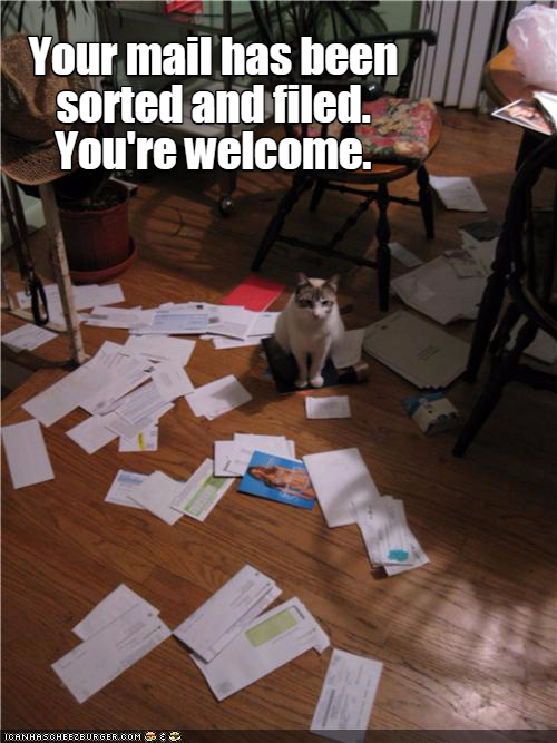You're welcome! - Lolcats - lol | cat memes | funny cats | funny cat ...