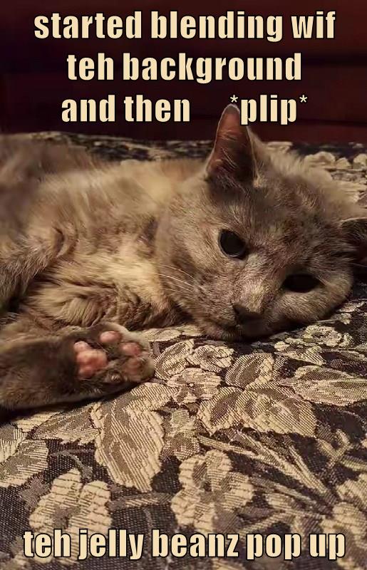 started blending wif teh background - Lolcats - lol | cat memes | funny ...
