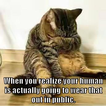 When you realize - Lolcats - lol | cat memes | funny cats | funny cat ...