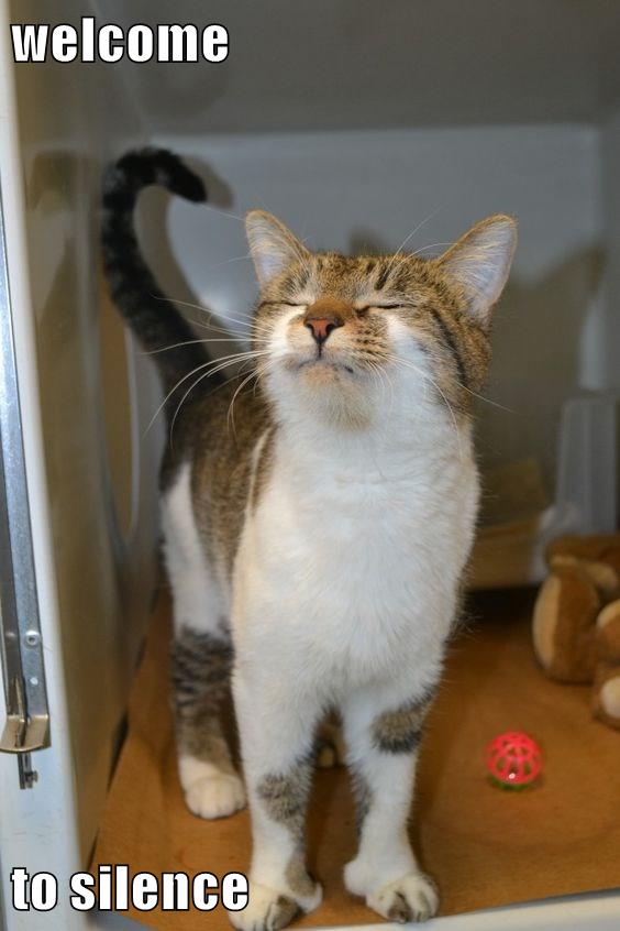 Welcome to silence - Lolcats - lol | cat memes | funny cats | funny cat ...