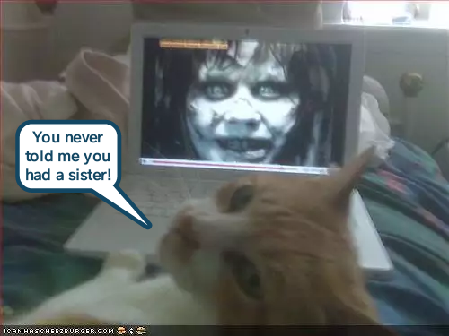 You never told me you had a sister! - Lolcats - lol | cat memes | funny ...
