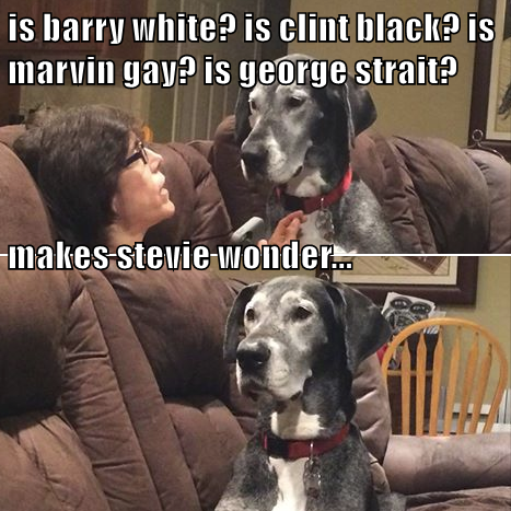 Wonder - I Has A Hotdog - Dog Pictures - Funny pictures of dogs - Dog ...