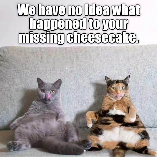 *burrrp* - Lolcats - lol | cat memes | funny cats | funny cat pictures ...