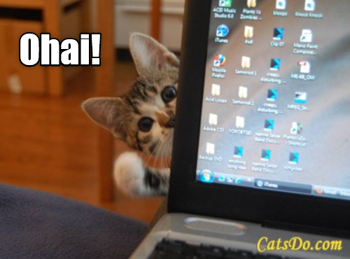 Ohai! - Lolcats - lol | cat memes | funny cats | funny cat pictures ...