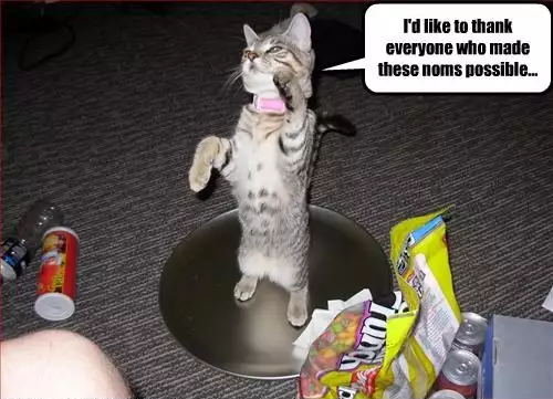 I'd like to thank everyone who made these noms possible... - Lolcats ...