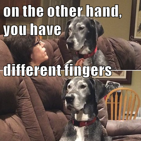 On the other hand, you have different fingers - I Has A Hotdog - Dog ...