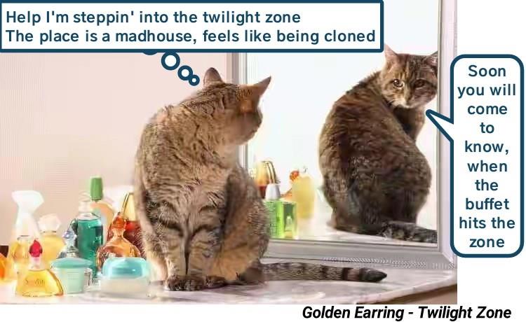 "Nom Zone" - Lolcats - lol | cat memes | funny cats | funny cat ...