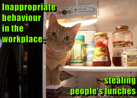 Inappropriate behaviour - Lolcats - lol | cat memes | funny cats ...