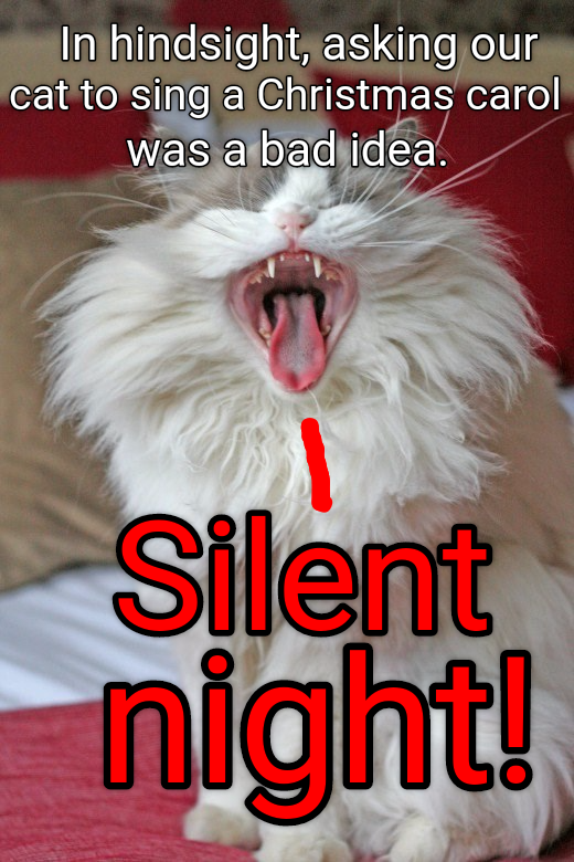 My ears are still ringing. - Lolcats - lol | cat memes | funny cats ...