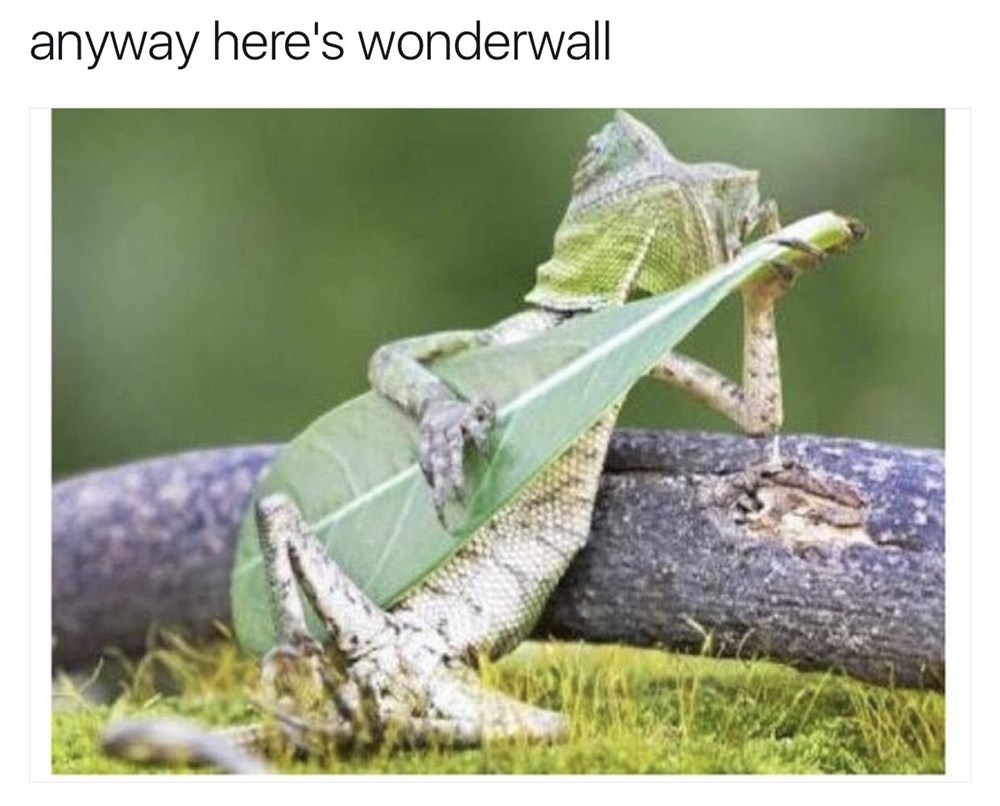 I Said Maybe - Memebase - Funny Memes I Said Maybe - Memebase - Funny Memes