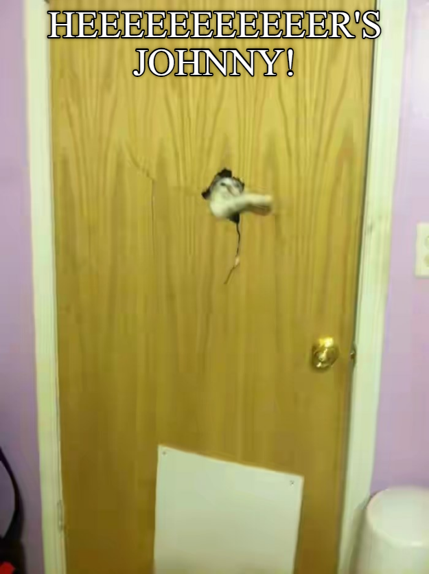 Hi! - Lolcats - lol | cat memes | funny cats | funny cat pictures with ...