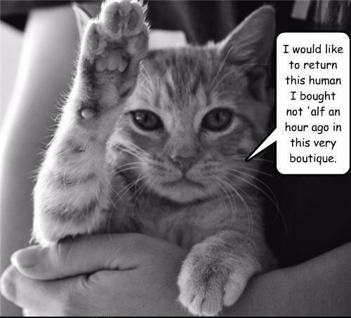 Baths, vet visits, what next? (With apologies to Monty Python ...