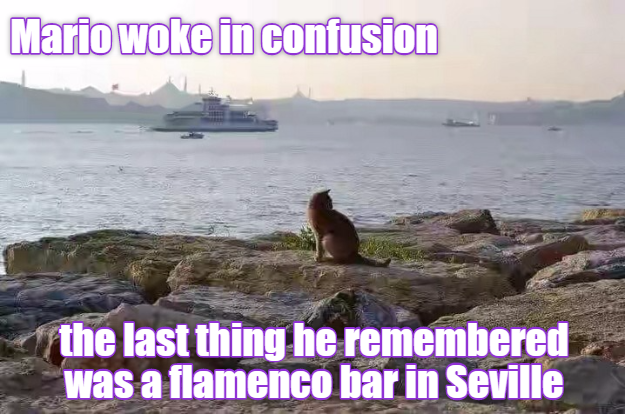 Confuzzled, bovvered an bewilderised - Lolcats - lol | cat memes ...