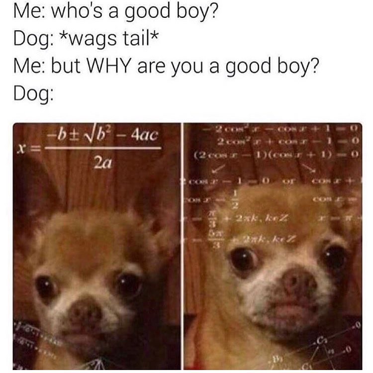 A Perplexing Query - Memebase - Funny Memes