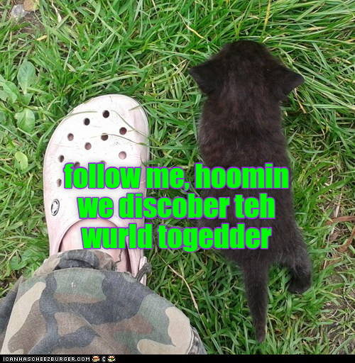 I'll keep you safe - Lolcats - lol | cat memes | funny cats | funny cat ...